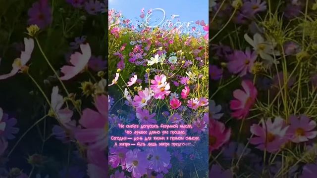 Не смейте допускать безумной мысли