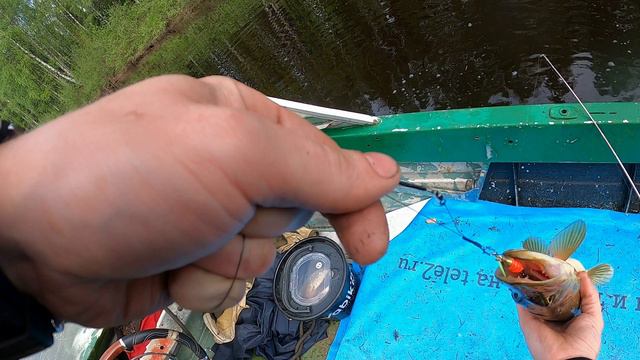 моменты улова язя и щуки