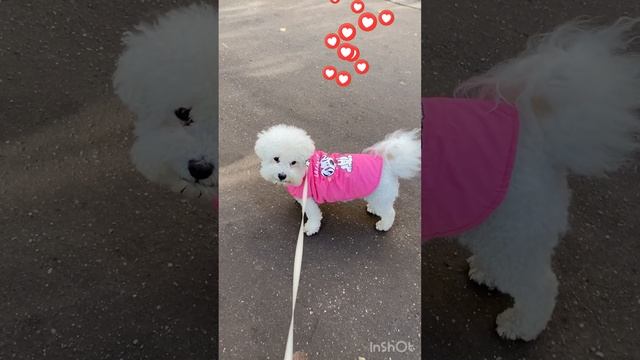 Осенние прогулки