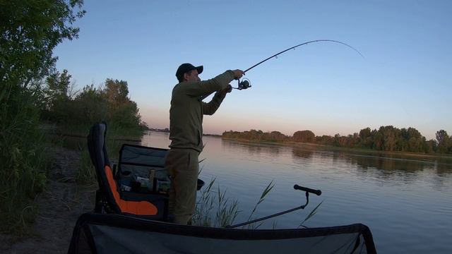 ФИДЕР НА ДОНУ. ДОЛГОЖДАННЫЙ ВЫЕЗД. РЫБАЛКА И ОТДЫХ В КРУГУ ДРУЗЕЙ. БИТВА ПРИКОРМОК!