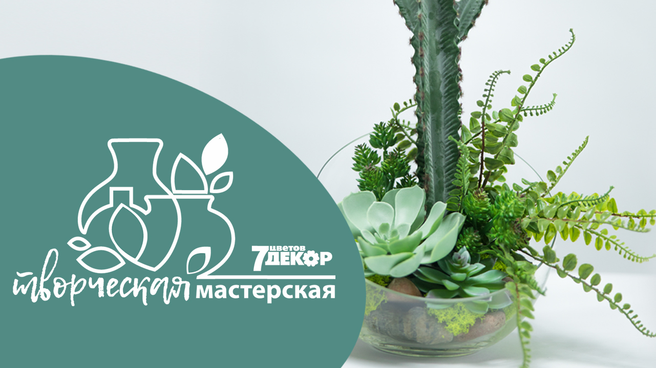 Как оформить офис. Офисная композиция из декоративных суккулентов