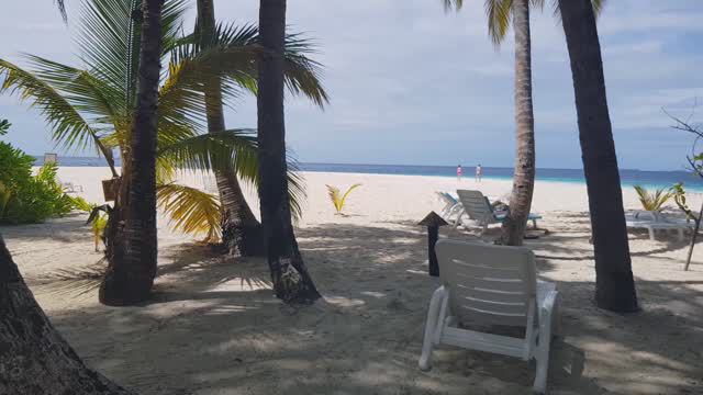 Мальдивы. Fihalhohi Island Resort. Когда уже вошли в стадию мальдивского релакса. 3-й день.