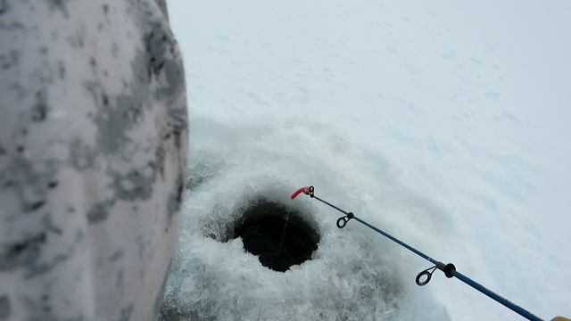 Зимняя рыбалка на блесна и балансиры в Перми