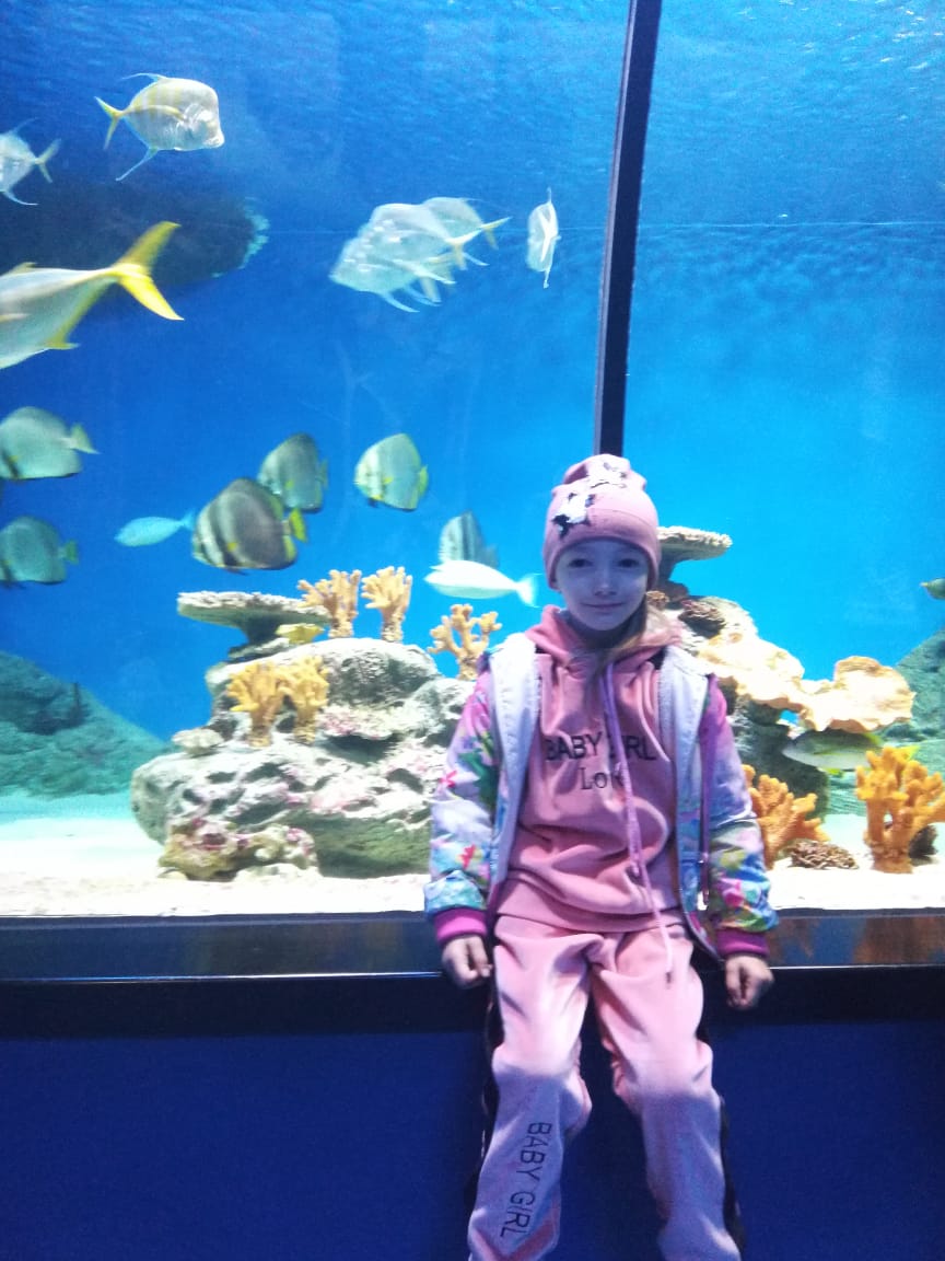 Осьминога мы будили - он на нас не посмотрел! Океанариум - Новосибирск.