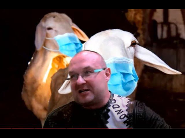 Что делать с рогами и копытами барана - жертвы всесожжения? Ор аХайм Ваикра 1:9. Глава Ваикра 5781