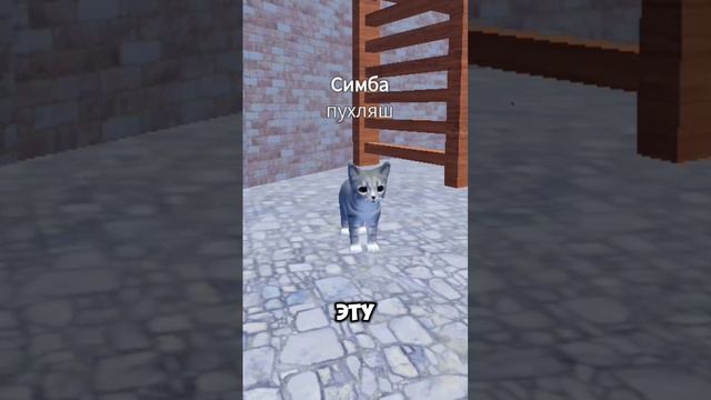 Стал котом чееееееек