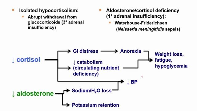 USMLE RX - 3.Эндокринная система - 3.Патология - 2.Недостаточность надпочечников