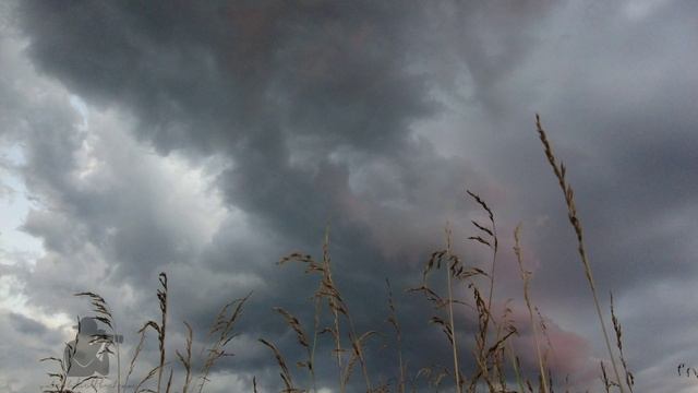 Закат и Гроза #shorts #short