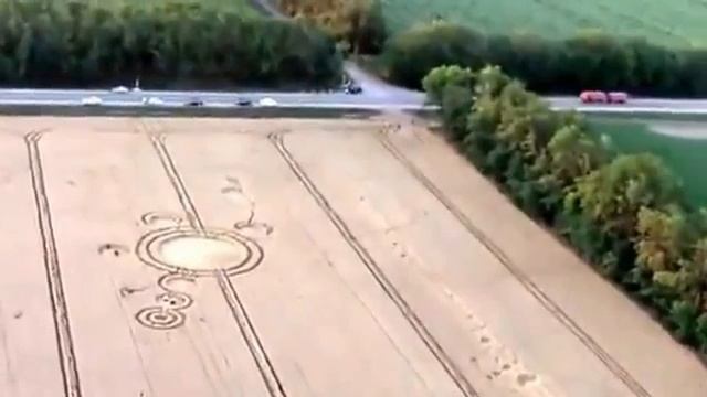 КРУГИ НА ПОЛЯХ. Россия, Краснодарский край, Tимашевск. Найден 17 июня 2013 года.