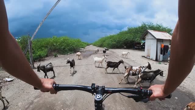 На велосипеде по Филиппинам. Остров Негрос. Из Баконга до Манхуйод и обратно.