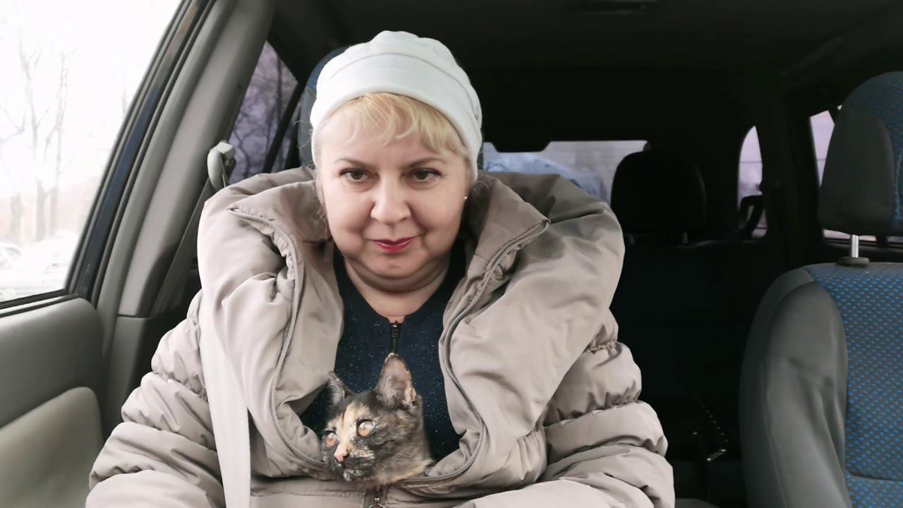 Мурка едет в гости в деревню.