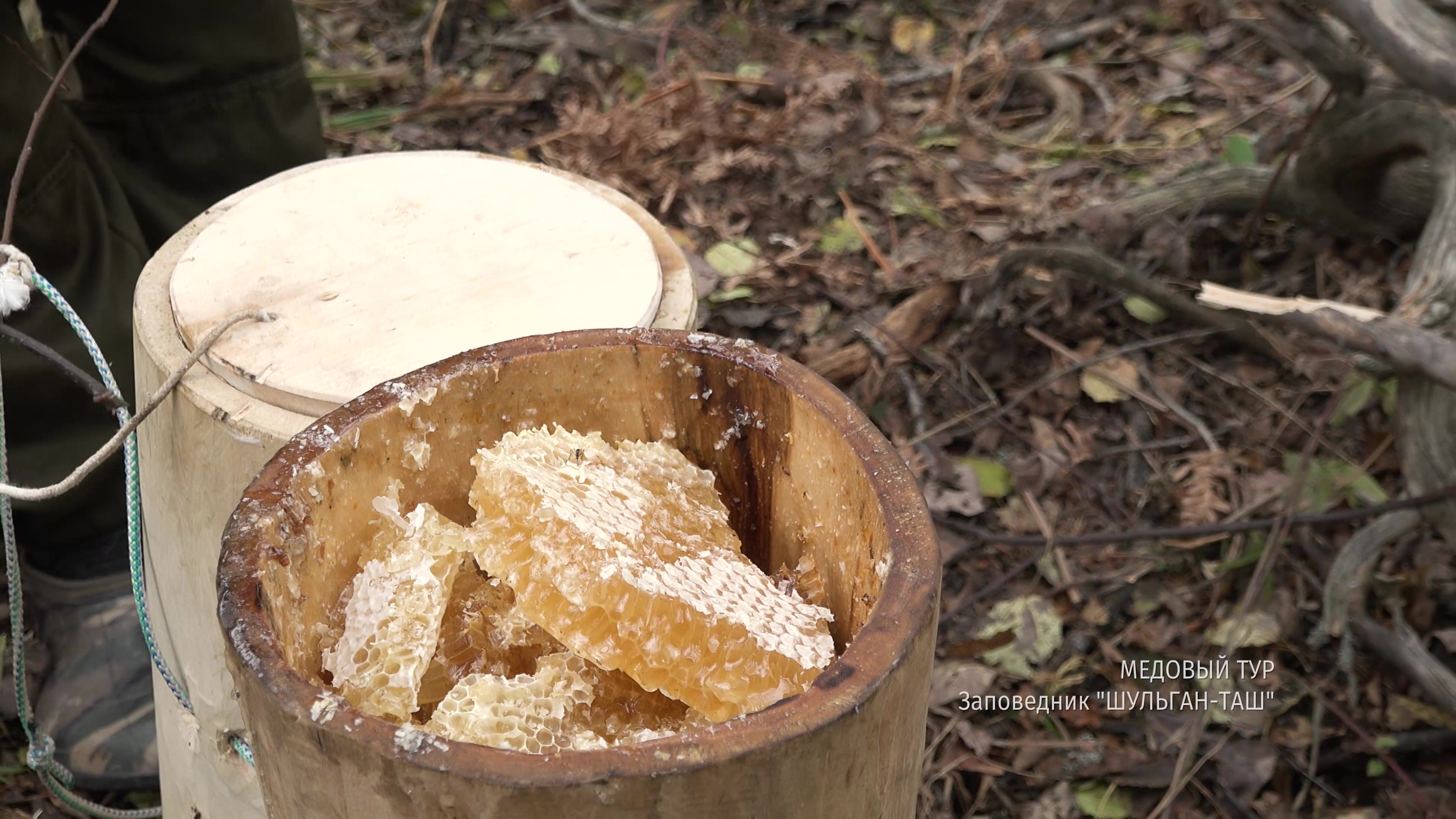 Медовый тур