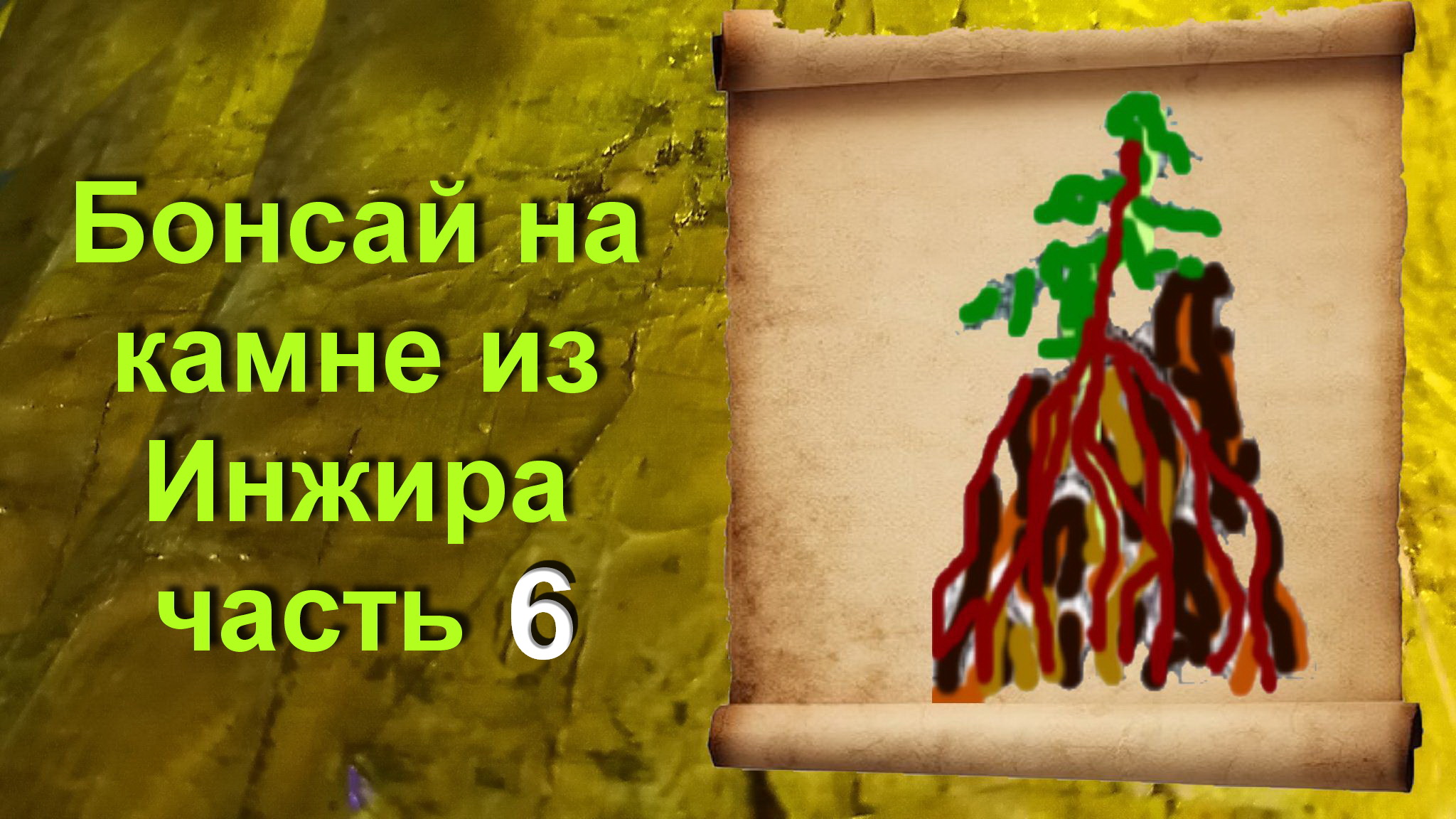 Бонсай на камне из инжира часть 6