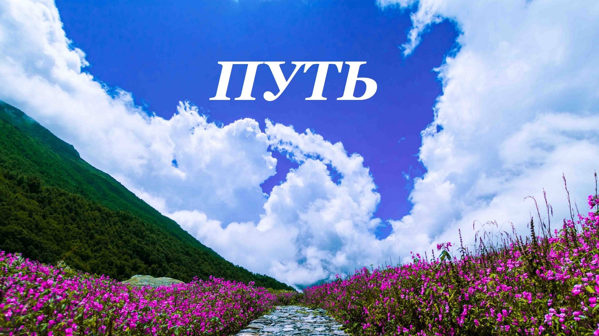 ПУТЬ В СВЕТЛОЕ БУДУЩЕЕ/РУССКАЯ ИСТИНА/ ВОСЕМЬ ПОСВЯЩЕНИЙ НА ПУТИ В ЦАРСТВО ПРАВДЫ.