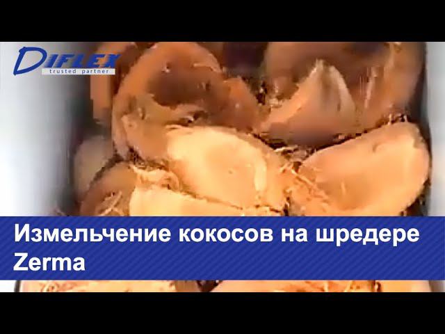 Измельчение кокосов на шредере Zerma