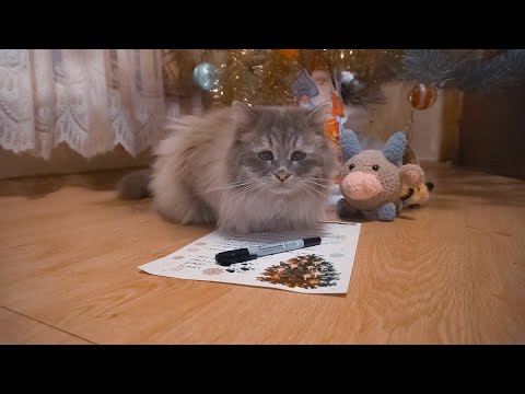 Новогодние желания котов