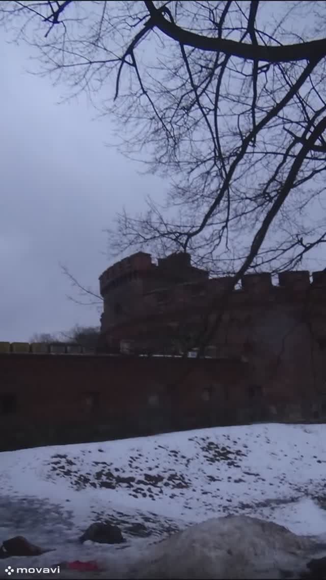 Башня Врангеля и Башня Дона short