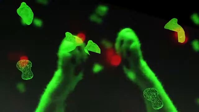 Чернышка Шипицина песня мяу мяяяяу