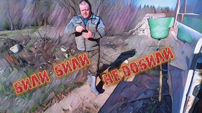 биби били не добили
