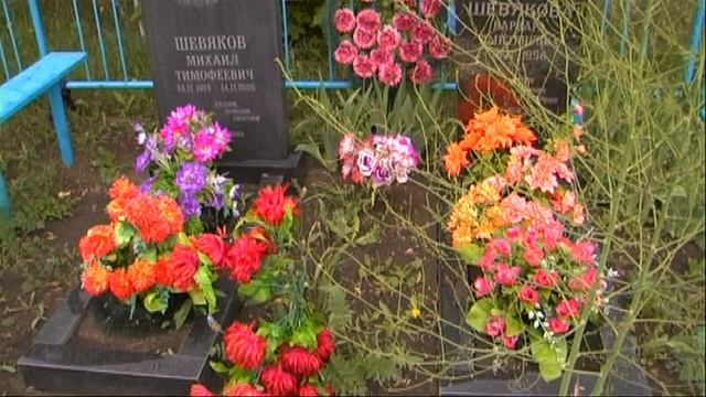 Кладбище- Н-Кленское.mov