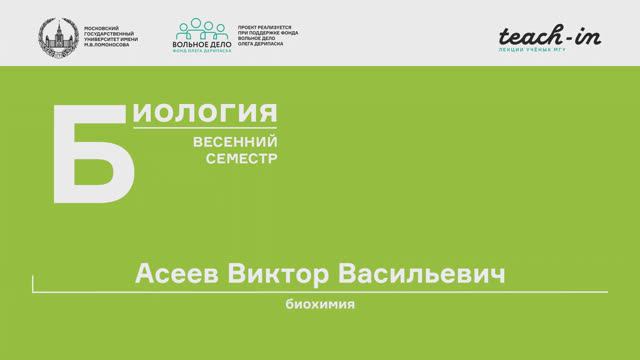 9. Строение прокариот и эукариот. Общая биология - Асеев В. В. Teach-in.