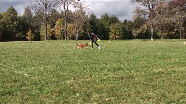 supported_browsers.htm.mp4