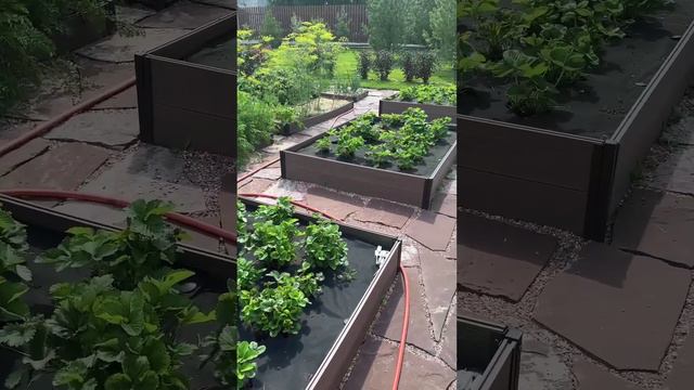 Грядки из ДПК / ЛетоМаркет