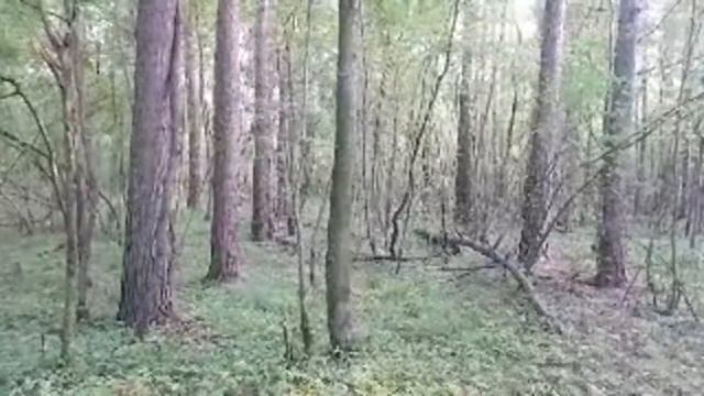 ПРИЗВАТЬ НА ПОМОЩЬ РОД ВЕДЬМЫ ИНГИ