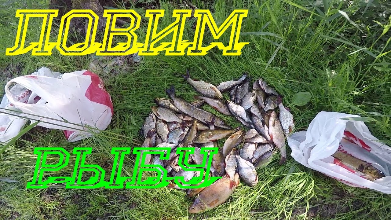 Хорошая рыбалка! Отдых на берегу озера.