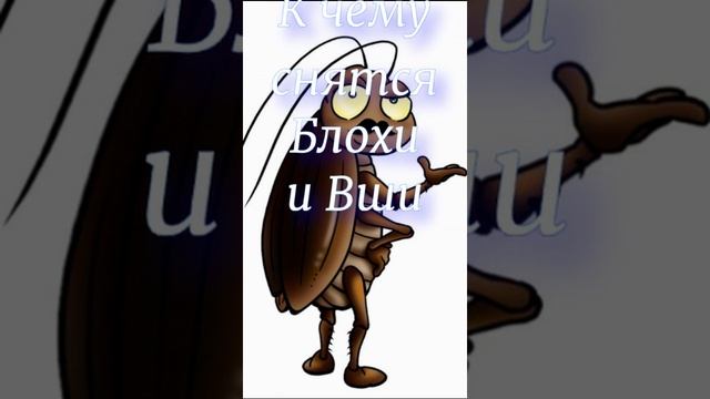 К чему снятся Блохи или Вши #shorts