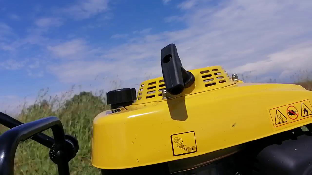 Чемпион, будет или не будет?