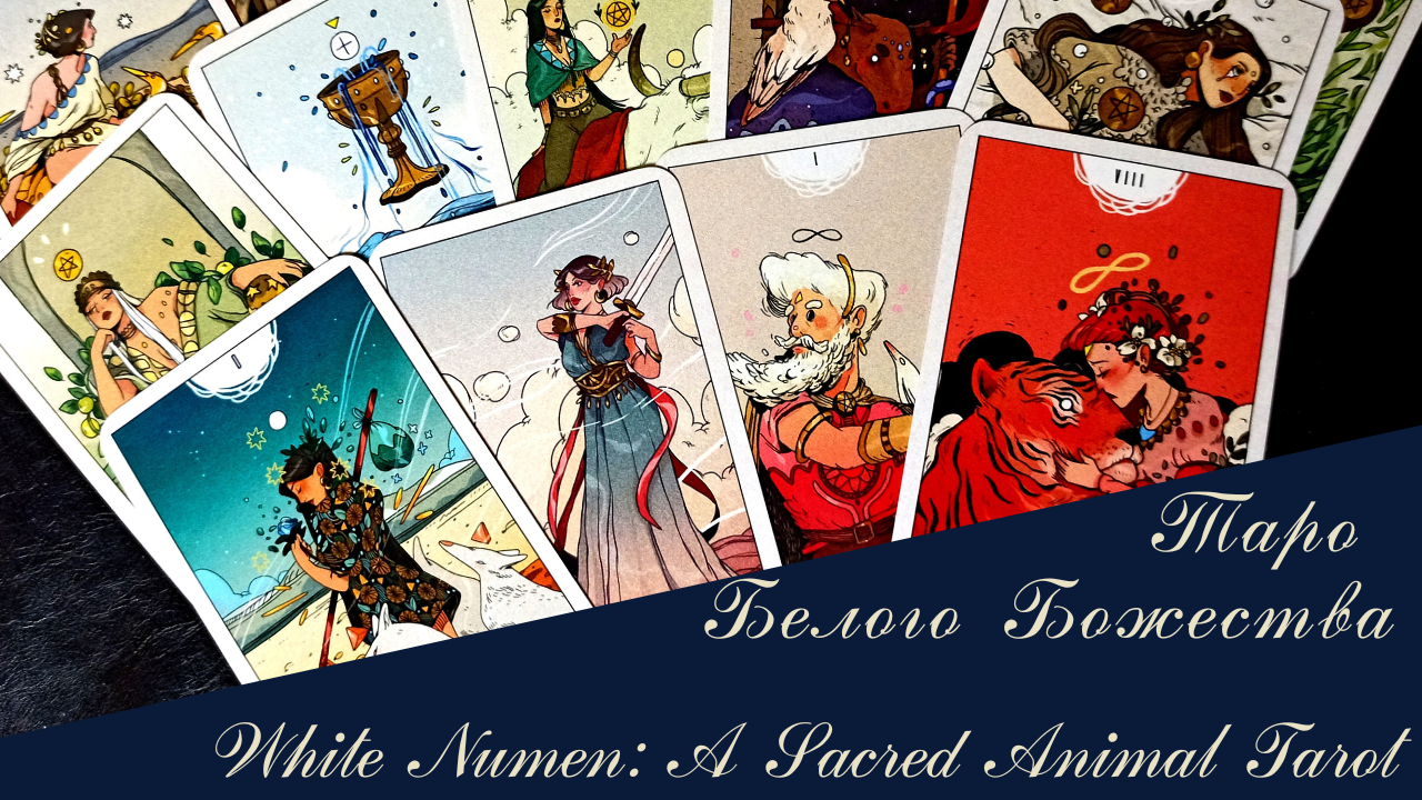 Таро белого божества (White Numen: A Sacred Animal Tarot) обзор