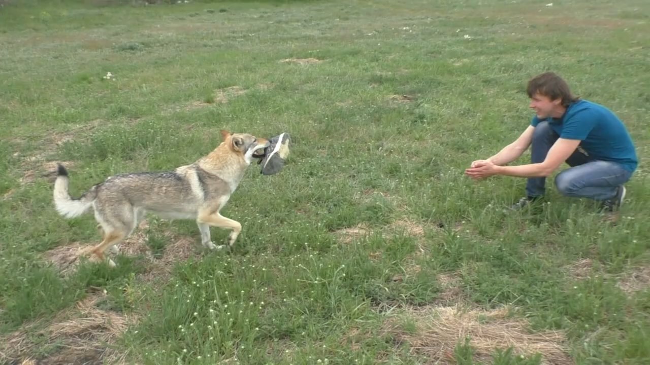 Грязный Крым (за кадром).mp4