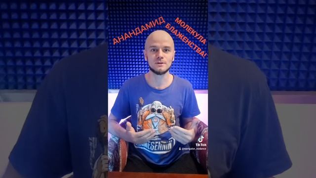 Na_No-практика: БЛАЖЕНСТВО. Эндогенный каннабиноид