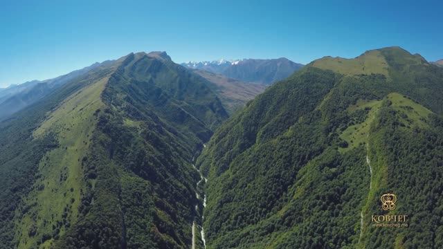 Showreel, выпуск № 81