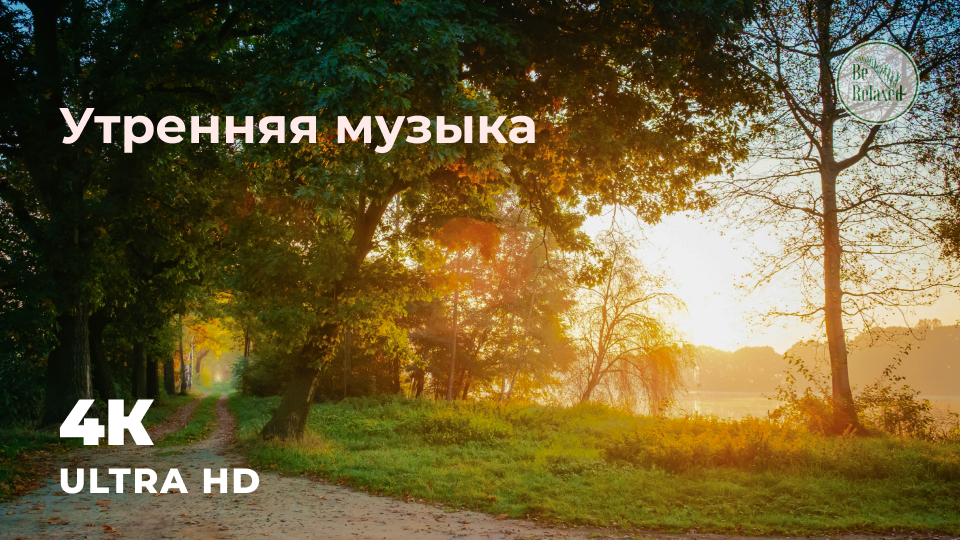 Спокойная мелодия и пение птиц | Музыка для медитации | Утренний лес