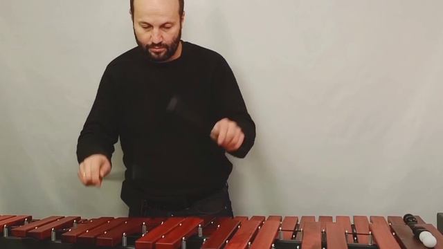Ксилофон SINKOPA PERCUSSION Студенческий SCX-35