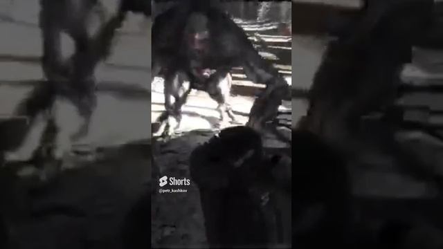 метро 2033 _ metro 2033