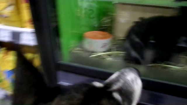 Открылся новый магазин.