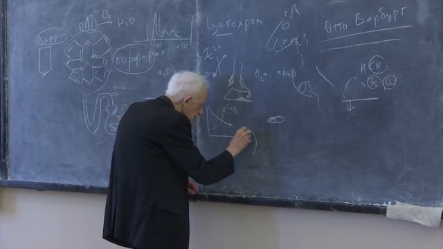 6. Шноль С. Э. - Введение в биоорганическую химию - Пигменты и дыхание.mp4