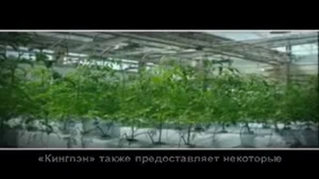 Хотите построить теплицу？