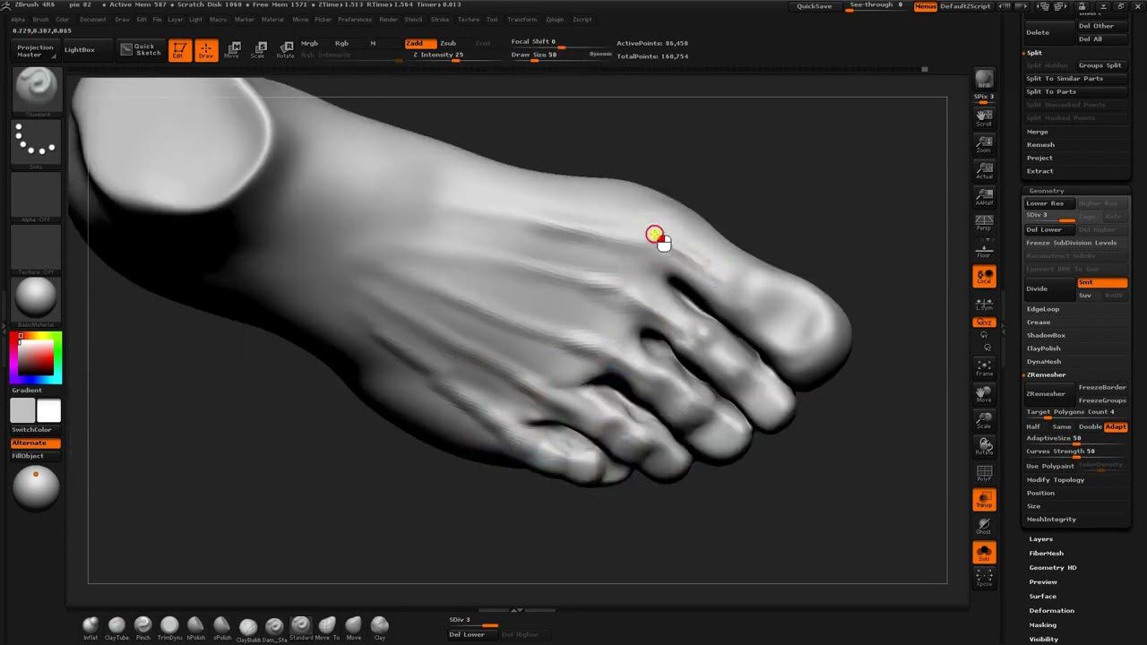 Anat Vol 03 09  Fingers Details 2 2