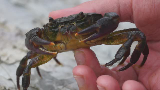 Прогулка по станице Пятигорской