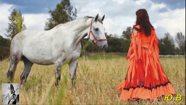 Анатолий Журавский 70-е. В эту тёмную ночь.mp4