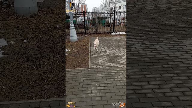 Физкультура-сила, спорт-...