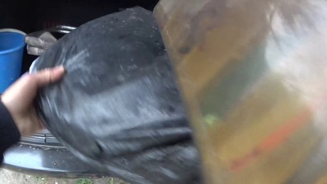 Рыбалка в Июне 2022