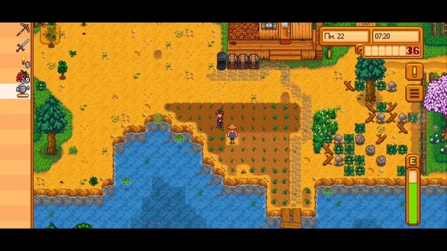 Stardew valley / 8/ android/ прохождение