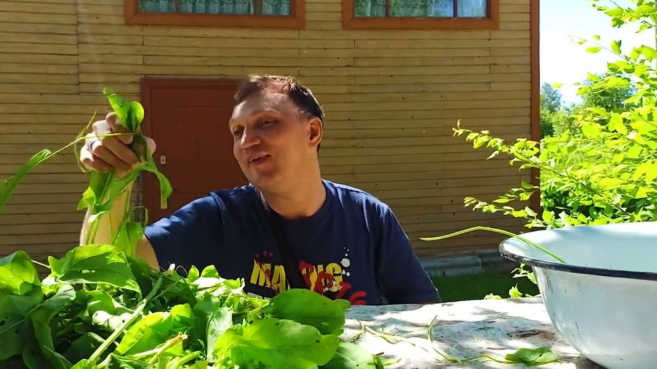 Бульденеж в деревне Межадор. Заехали к Николаю Ивановичу за щавелем.