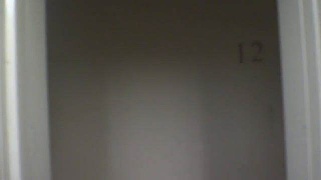 Электрический лифт V=1 м-с, грузоподъемность 400 кг (2417), музыкальный лифт Ecomaks