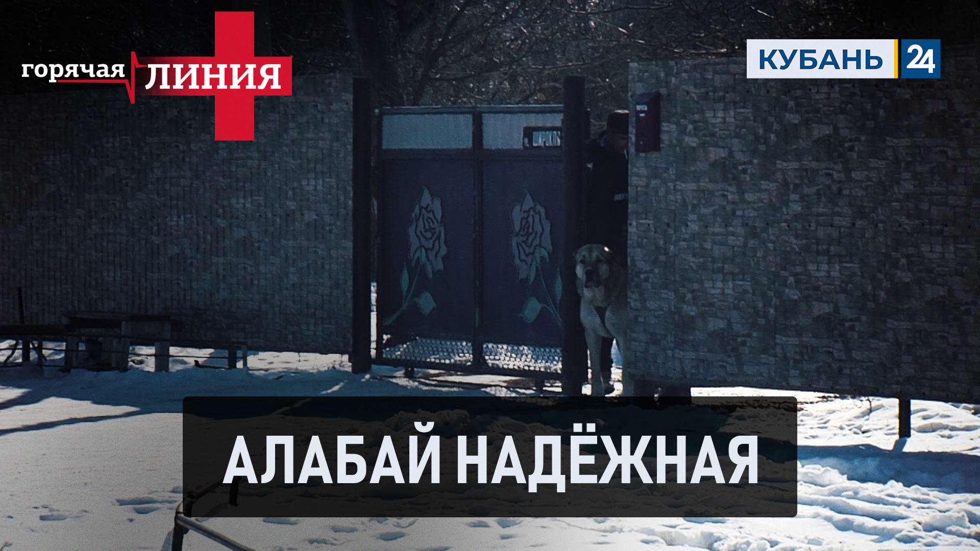 Нет воды. Приморско-Ахтарск | Горячая линия + 18.03.22